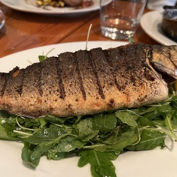 VIA DEL CORSO - 730 Photos & 836 Reviews - 1788 Shattuck Ave, Berkeley ...