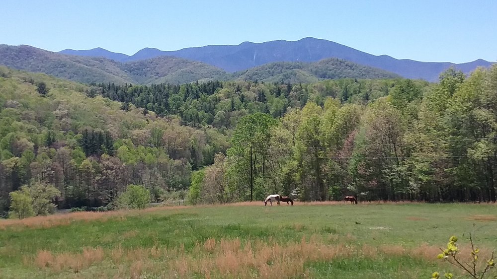 BLUE RIDGE HORSE ADVENTURES - Updated July 2025 - Spruce Pine, North ...