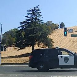 HAYWARD POLICE DEPARTMENT - 25 Photos & 58 Reviews - 300 W Winton Ave ...