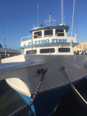 FLYING FISH FLEET DEEP SEA FISHING - Updated May 2024 - 12 Photos & 34 ...