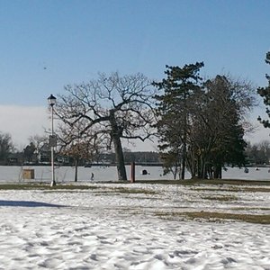 SCOUT LAKE PARK - Updated April 2025 - 23 Photos - 5902 West Loomis Rd ...