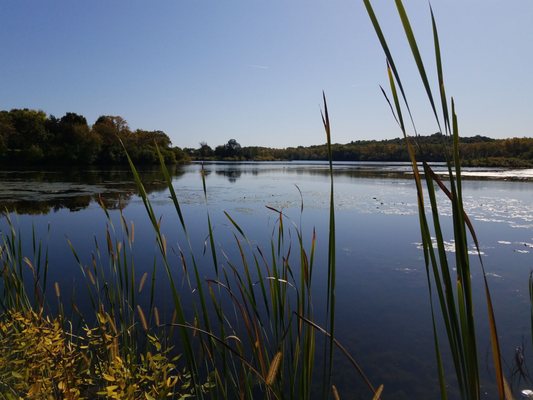 NORMANDALE LAKE PARK | 179 Photos & 12 Reviews - 84TH Street And Chalet ...