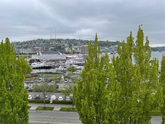 RESIDENCE INN SEATTLE DOWNTOWN/LAKE UNION - 234 Photos & 154 Reviews ...