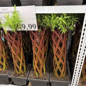 COSTCO WHOLESALE - Updated December 2025 - 130 Photos & 48 Reviews ...