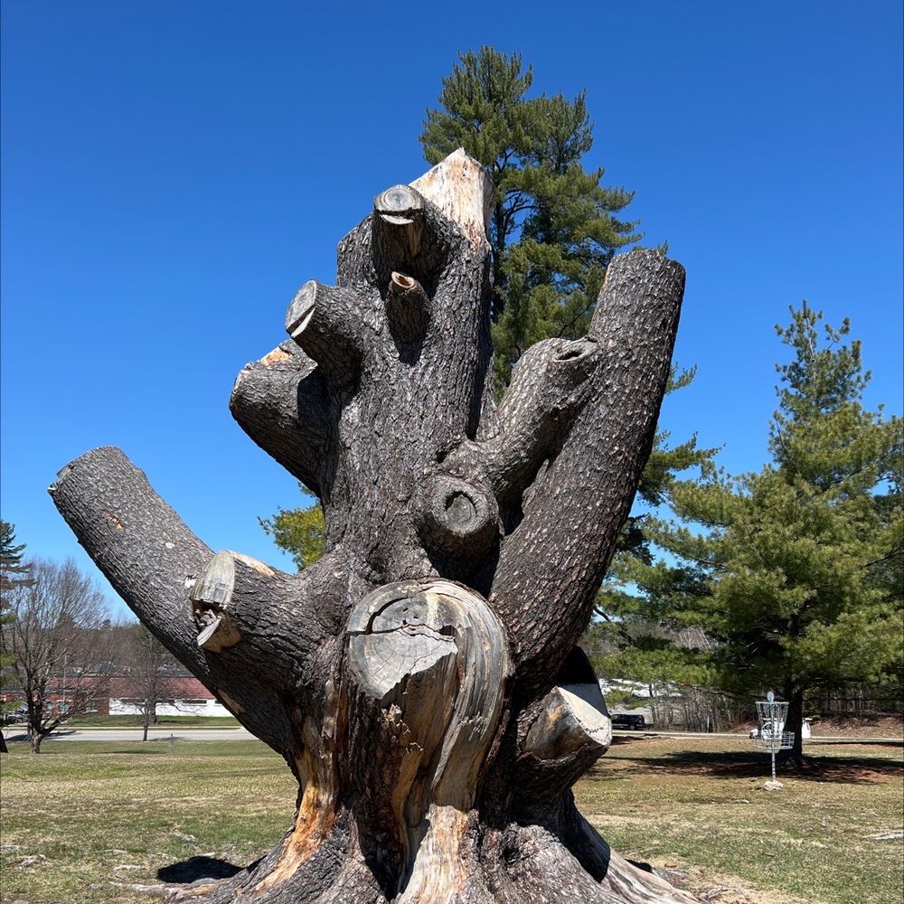 ODELL PARK - Updated July 2025 - 370 Rookwood Avenue, Fredericton, New ...