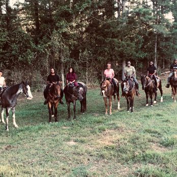 LUELLA STABLES - Updated November 2025 - 14 Photos - 2614 Locust Grove ...