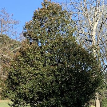 AYR MOUNT - Updated January 2026 - 142 Photos & 11 Real Reviews - 376 ...