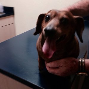 MONROE ROAD ANIMAL HOSPITAL - Updated July 2025 - 21 Photos & 64 ...