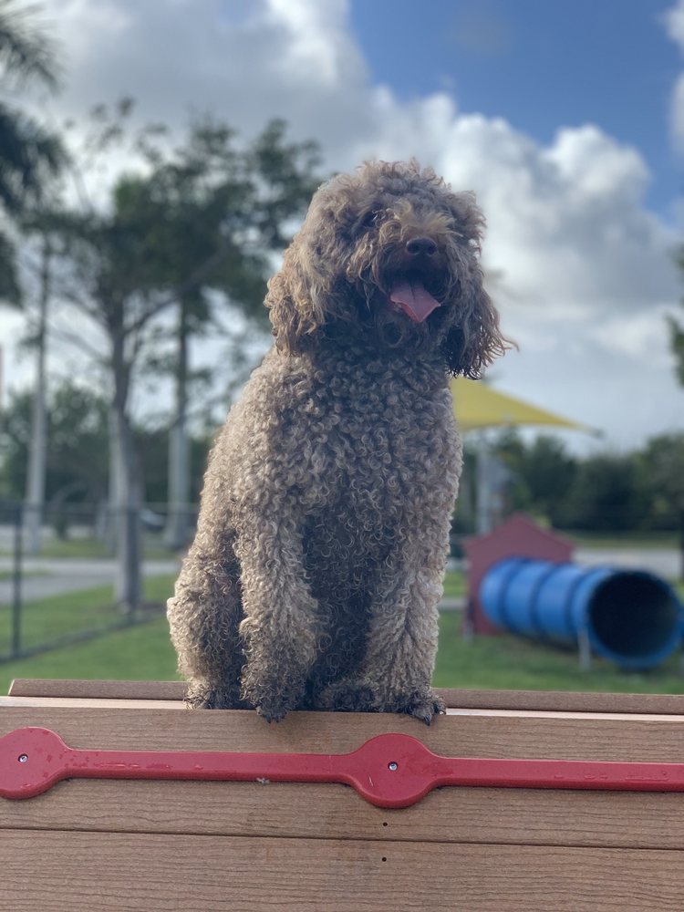 MAYOR ROSCOE WARREN MUNICIPAL PARK - 71 Photos & 12 Reviews - 1400 E ...