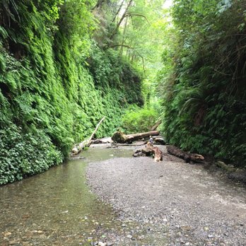 GOLD BLUFFS BEACH & CAMPGROUND - Updated April 2025 - 66 Photos & 16 ...