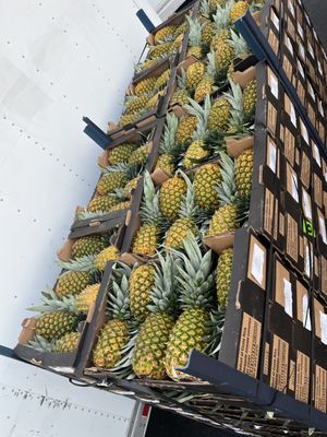 PRG PRODUCE - Updated September 2025 - 10 Photos - 746 Market Ct, Los ...