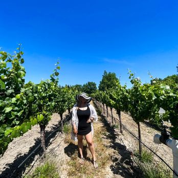 RODNEY STRONG VINEYARDS - Updated October 2025 - 383 Photos & 252 ...