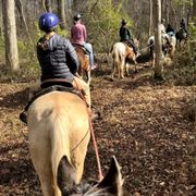 SHEEDER MILL FARM - 88 Photos & 46 Reviews - 12 Sheeder Mill Rd, Spring ...