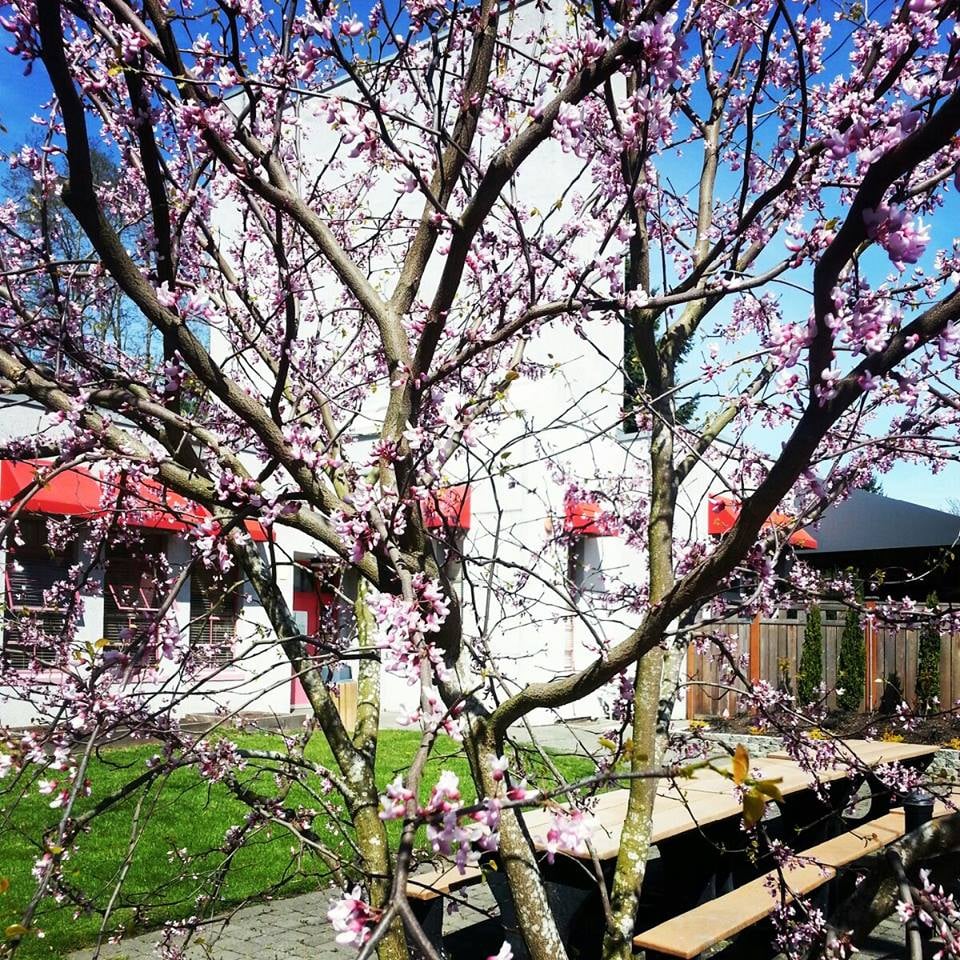 OLD FIRE HOUSE TEEN CENTER - Updated December 2025 - 16510 NE 79th St ...