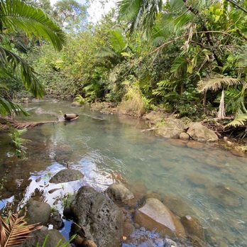 WAIMANO LOOP TRAIL - Updated January 2026 - 451 Photos & 90 Reviews ...