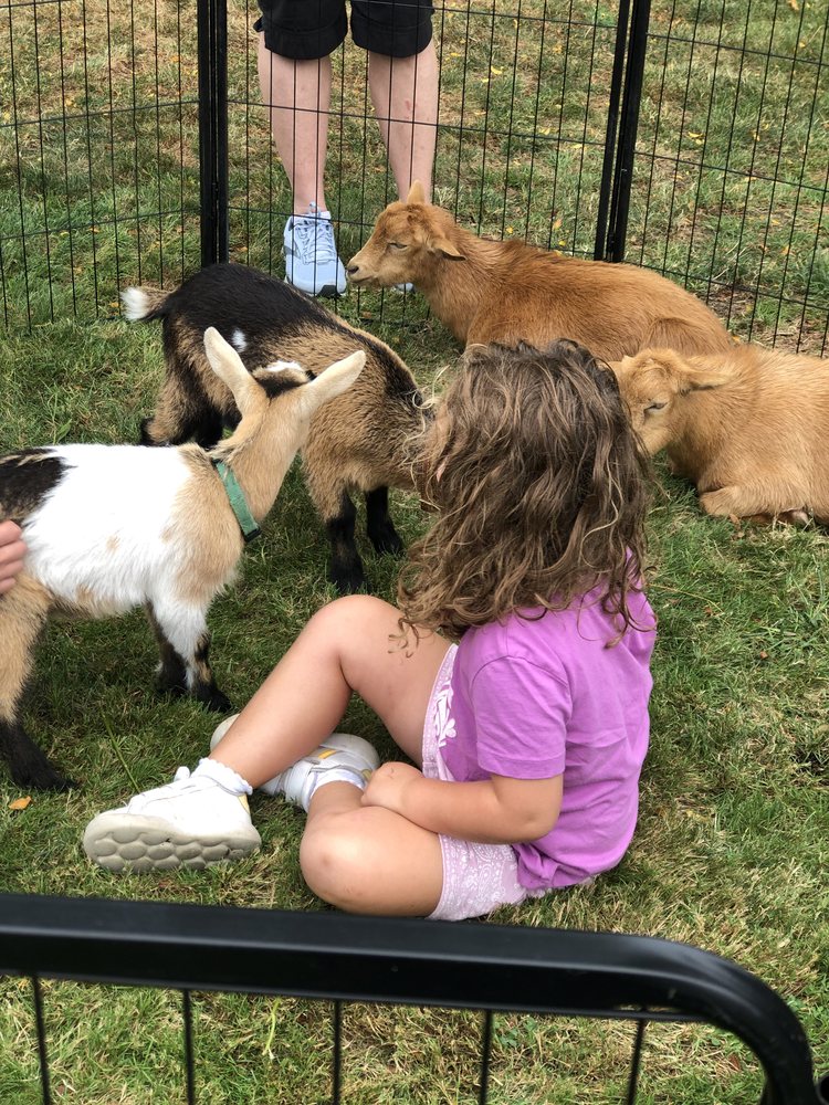 BRING THE BARN - Updated February 2026 - 11 Photos - Vancouver ...