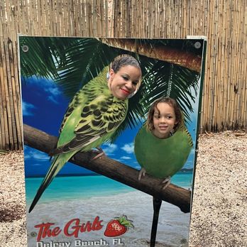 THE GIRLS STRAWBERRY U-PICK - Updated November 2024 - 966 Photos & 236 ...