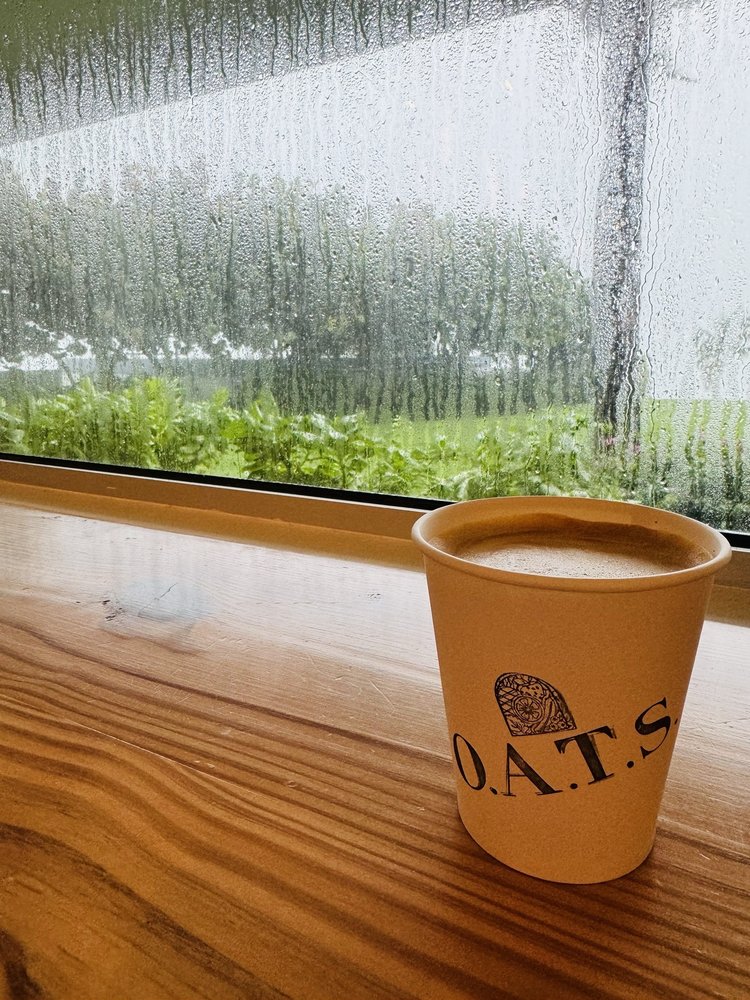 OATS JUICE BAR - Updated December 2025 - El Conquistador Hotel Service ...