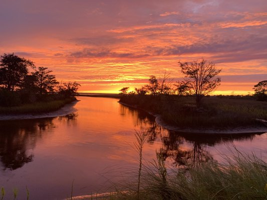 SHELL POINT BEACH - Updated October 2024 - 47 Photos & 13 Reviews - 117 ...