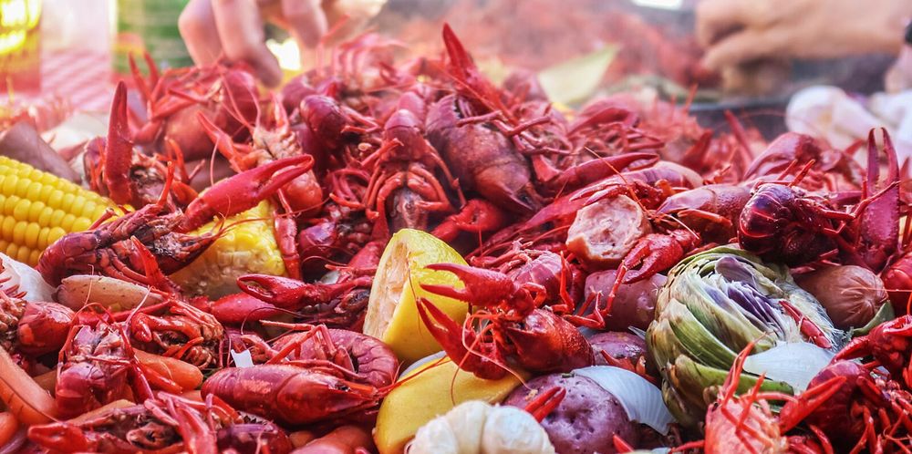 CHEF MARIA V - Updated January 2025 - Request a Quote - 14 Photos - New ...