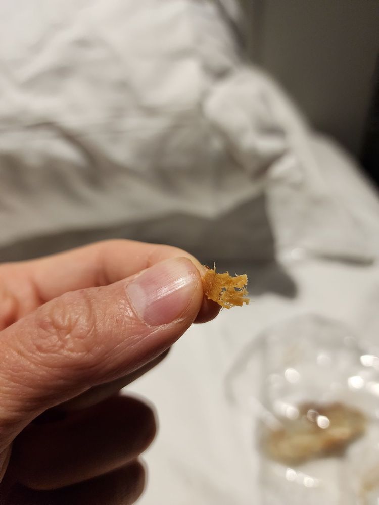 GOLDEN GATE CAKE SHOP - Updated November 2025 - 34 Photos - 41 Reviews ...