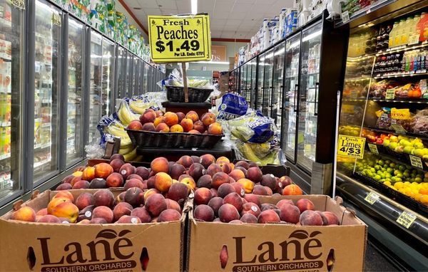 KEY FOOD SUPERMARKET - Updated June 2025 - 165 Photos & 111 Reviews ...