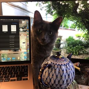 BOTHELL PET HOSPITAL - VETERINARY CLINIC - Updated August 2025 - 23 ...