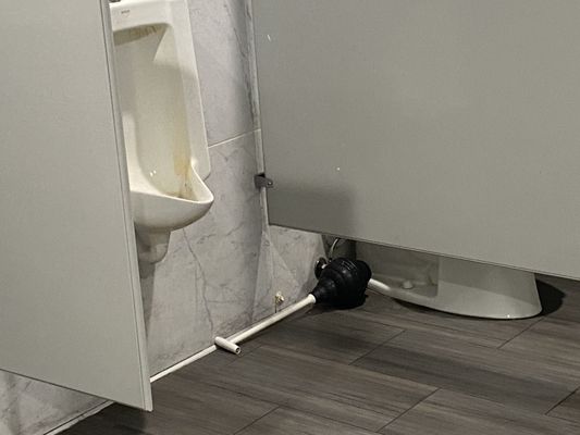 THE RUSH FUN PARK - Updated January 2026 - 84 Photos & 123 Reviews ...