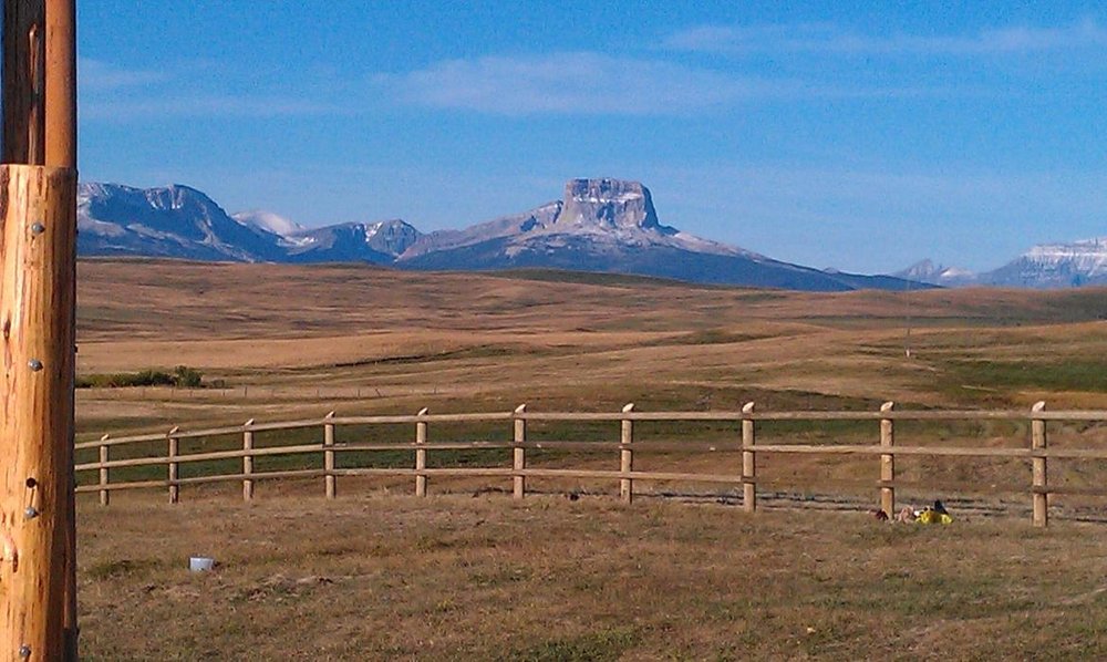 WILD WEST FENCING - Updated May 2024 - 220077 Township Road 81 ...