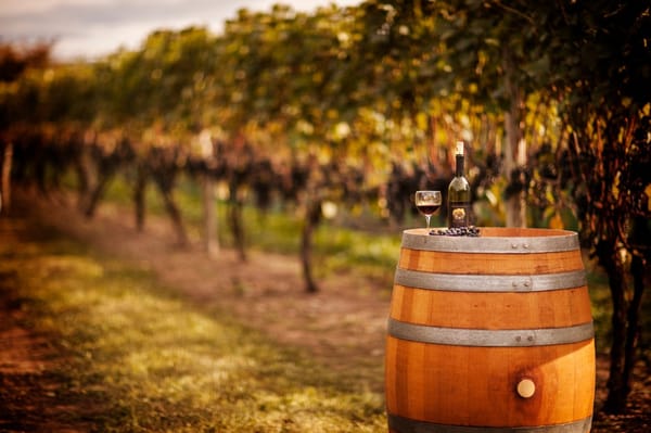 GROVEDALE WINERY & VINEYARDS - Updated July 2024 - 12 Photos - 71 ...