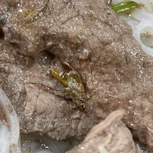 PHO QUE HUONG - 203 Photos & 250 Reviews - 4826 Belt Line Rd, Addison ...