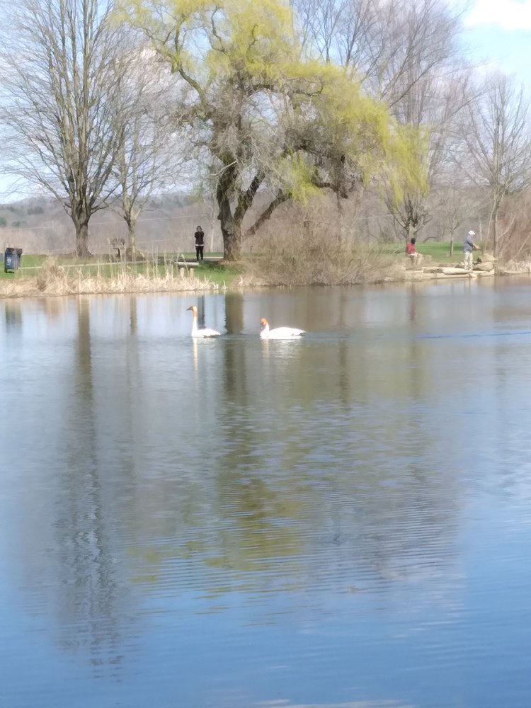 RIVER STYX PARK - Updated July 2025 - 8200 River Styx Rd, Wadsworth ...