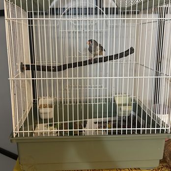 LITTLE AMAZON FISH & PETS - Updated September 2025 - 75 Photos & 94 ...