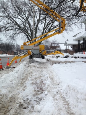 KRAMER TREE SPECIALISTS - Updated December 2025 - 83 Photos & 28 ...