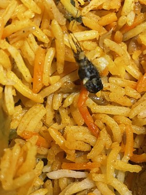 KABABISH - Updated April 2025 - 127 Photos & 228 Reviews - 70-64 ...