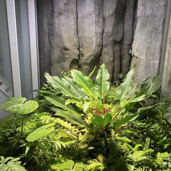 AMAZON SPHERES - Updated February 2025 - 1062 Photos & 135 Reviews ...