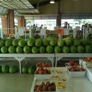 FRESH WAY PRODUCE - 10 Reviews - 6900 Old Canton Rd, Ridgeland ...