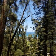 HAU’ULA LOOP TRAIL - 126 Photos & 20 Reviews - 54-55 Maakua Rd, Hauula ...