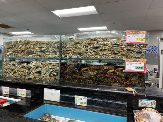 99 RANCH CHINESE FOOD BAR - Updated October 2025 - 20 Photos - 10455 S ...