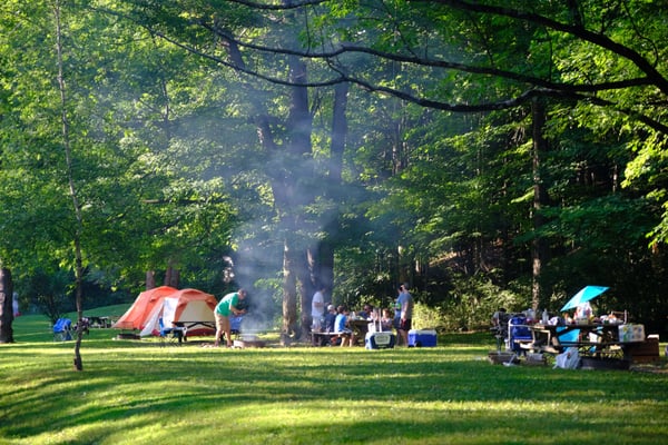 TACONIC STATE PARK - RUDD POND AREA - Updated October 2025 - 18 Photos ...