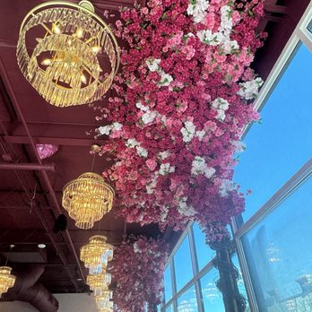 COCO CAFE - Updated June 2025 - 185 Photos & 52 Reviews - 68 Broad St ...