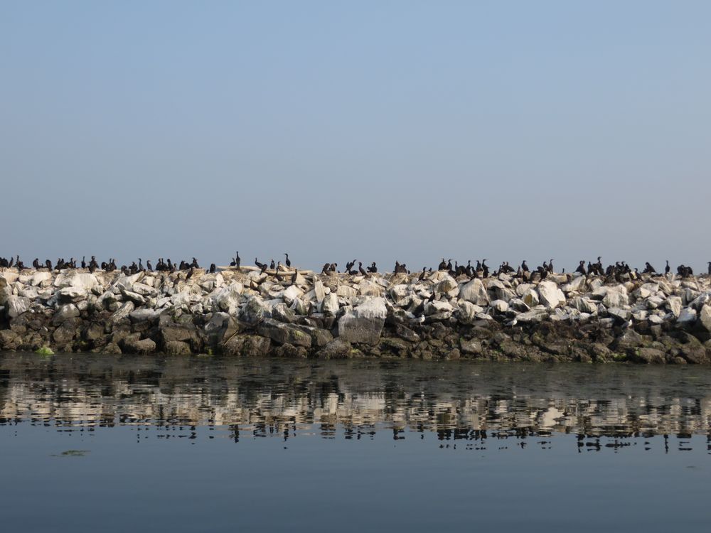 HISTORIC PLOVER PASSENGER FERRY - Updated September 2025 - 22 Photos ...