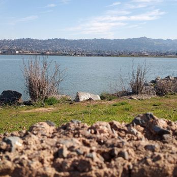 CESAR CHAVEZ PARK - Updated December 2024 - 520 Photos & 180 Reviews ...