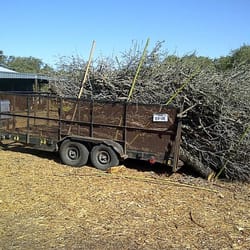 SID MOURNING TREE SERVICE - 23 Photos & 77 Reviews - 3810 Medical Pkwy ...