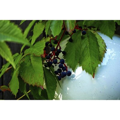 COLD STREAM FARM - Updated December 2025 - 13 Photos & 14 Reviews ...