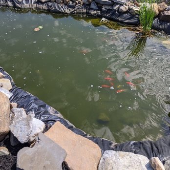 BUSTED GRAPES - Updated May 2025 - 19557 Ball Rd, Black River, New York ...