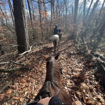 SHEEDER MILL FARM - Updated October 2025 - 96 Photos & 58 Reviews - 12 ...