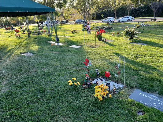 EL TORO MEMORIAL PARK - Updated July 2025 - 89 Photos & 29 Reviews ...