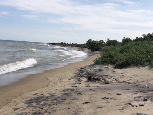 ILLINOIS BEACH STATE PARK - Updated December 2025 - 268 Photos & 105 ...