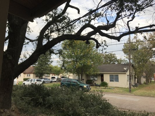 ABC PROFESSIONAL TREE SERVICES - Updated October 2025 - 20 Photos & 32 ...